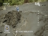 [真相]火山熔岩“大炸弹”爆炸威力相当于近两亿吨TNT炸药