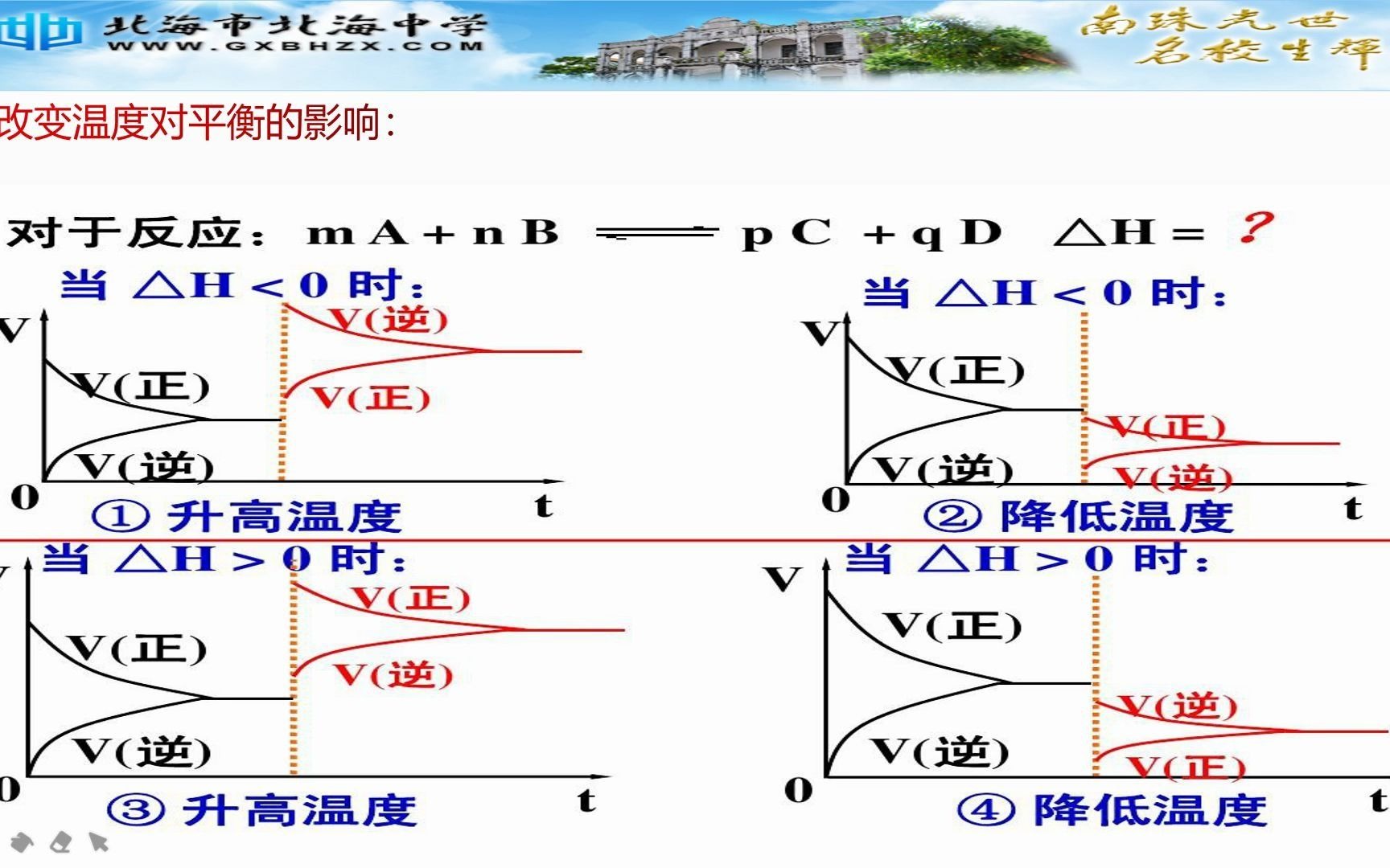 选修四 化学平衡图像分析(v-t图像) cxg