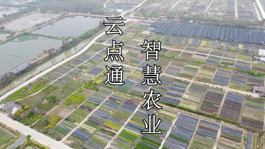 云点通智慧农业,包含一整套物联网农业解决方案,让农业”聪明