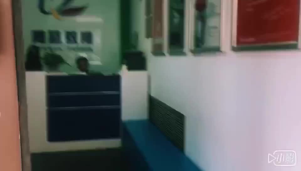 编程一小时,冰城进行时