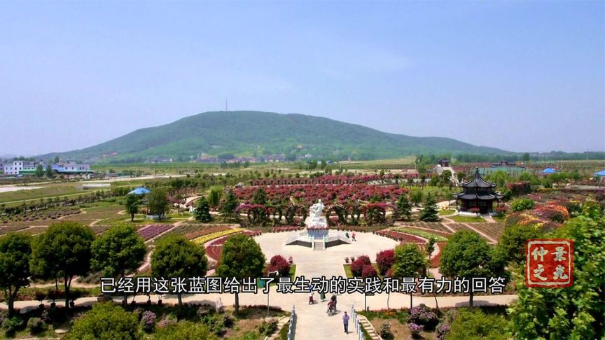 南阳:《仲景之光》2022中医药宣传片