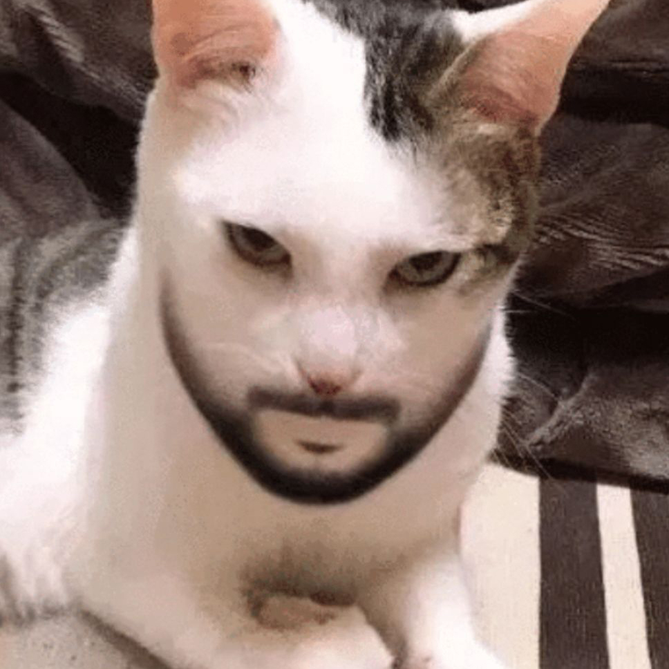 十三杂记 