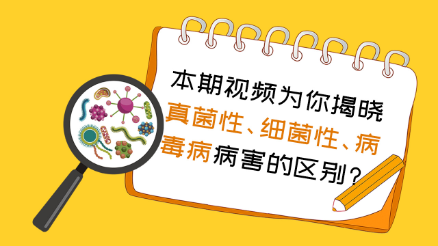 2分钟了解:作物真菌性、细菌性、病毒病病害的区别