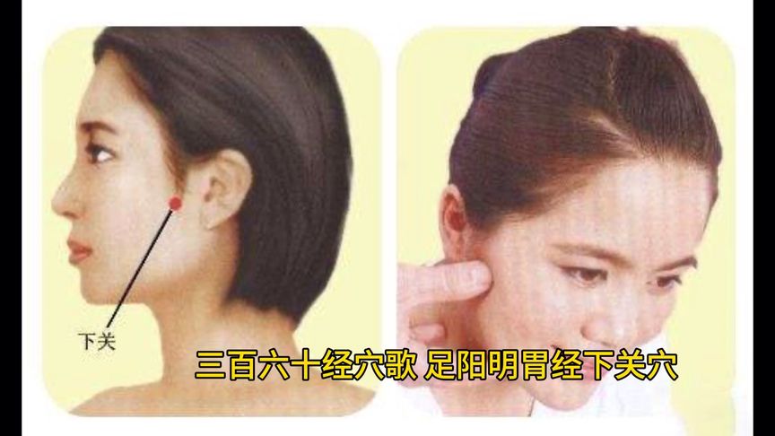 足阳明胃经下关穴歌诀及取穴法