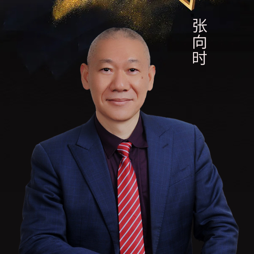 财税有道张向时 