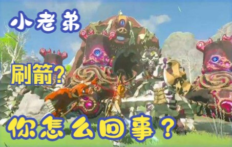 【塞尔达传说】惨绝人寰的刷箭攻略,路过的点个赞吧~_塞尔达传说_攻略