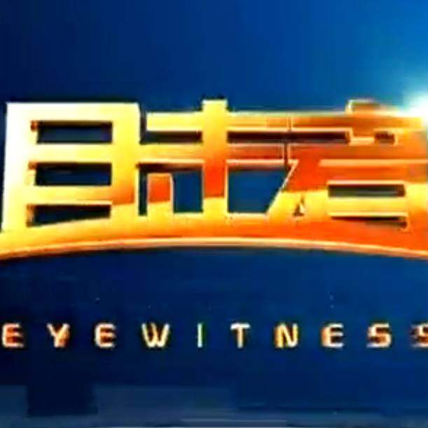 目击者栏目 