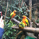 超爱跳街舞の司马妍雅 