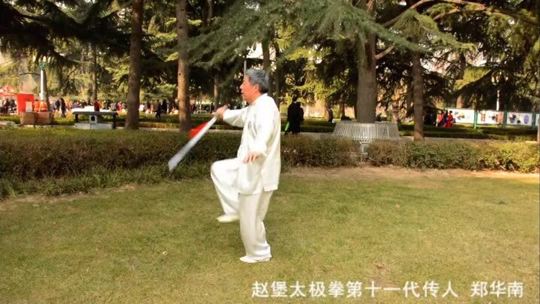 郑悟清先生嫡孙—郑华南太极剑演练