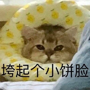 -其实是鲸鱼小丸子- 