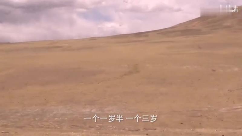 「我去远方」上海——拉萨,Z165火车48小时纪实(vlog完整版)