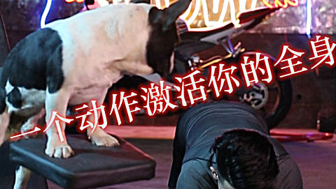 健身运动前的全面热身动作 第三个原地爬行