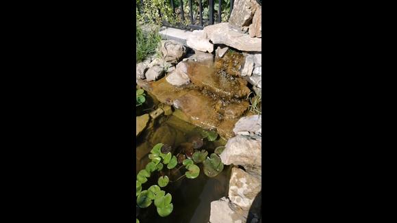 ߐ�鱼池ߐ�太阳能循环过滤系统展示,不花电费实现假山流水!