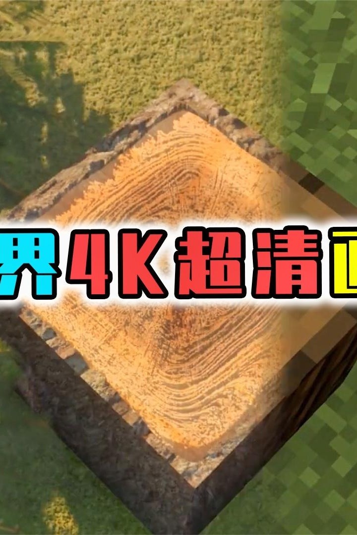 我的世界:盘点那些你没见过的超强画质!显卡都燃烧了