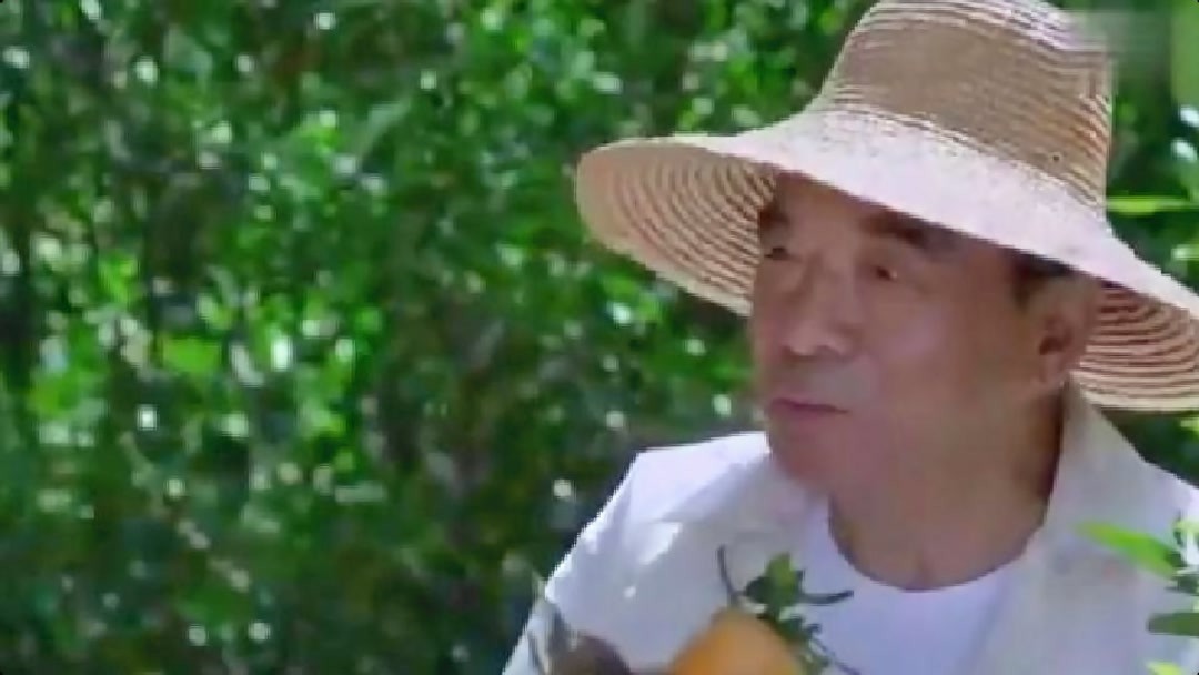 花腰恋歌:人只要有事情做生命就有意义。网友:董事长说的是对的