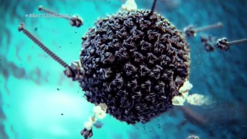 纪录片《病毒与人体细胞大战》,满满的科幻大片感!一起看看