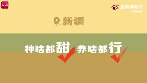 MG动画丨新疆,总有些“丰收惊喜”带给你