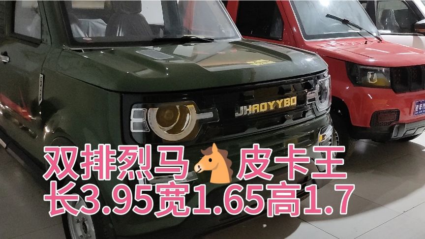 双排皮卡车可以拉货可载货,拉一吨货爬坡上坎没问题,颜色支持定