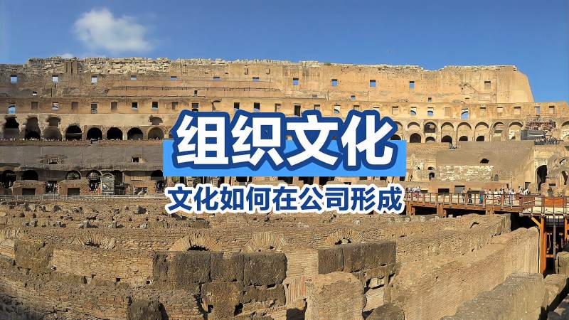 组织文化:文化如何在一家公司中形成
