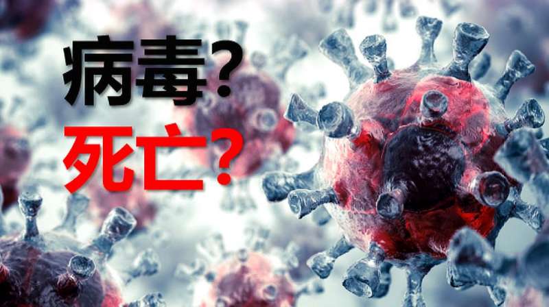 历史上死亡人数最多的病毒,你知道吗?