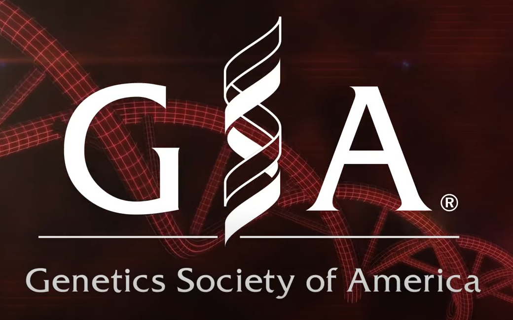 【美国遗传学会模式生物会议】线虫的发育、细胞生物学和基因表达