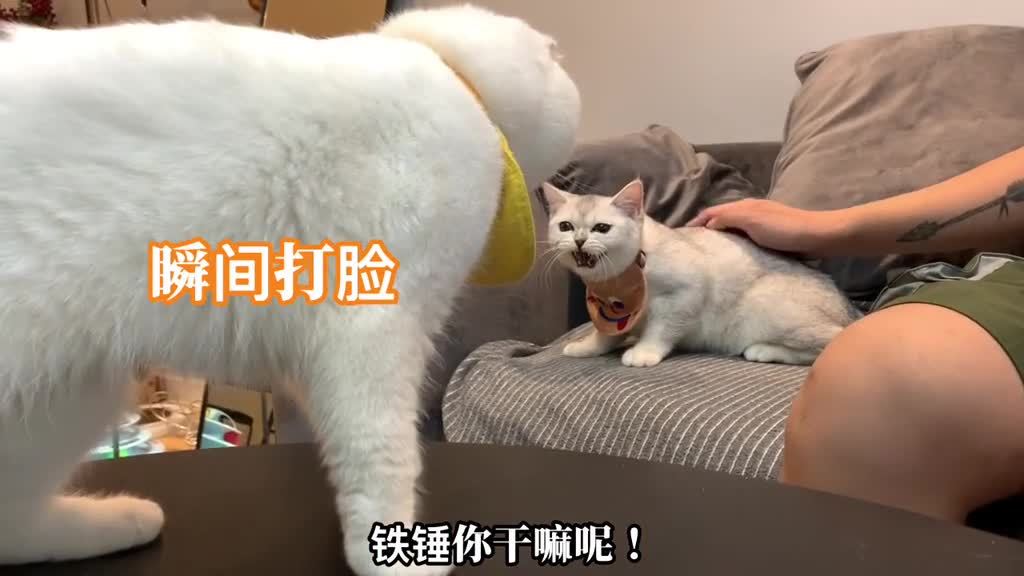 不管遇到怎么样的困难我们都不会放弃!