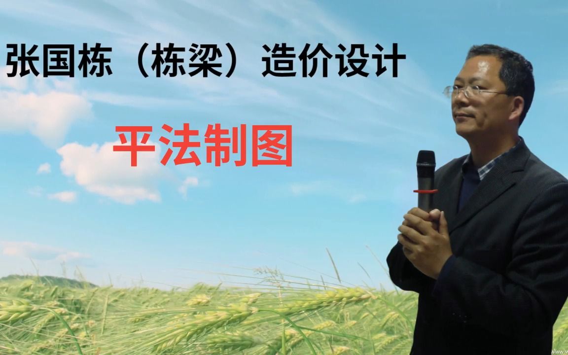 张国栋(栋梁)造价设计:平法制图的重要性
