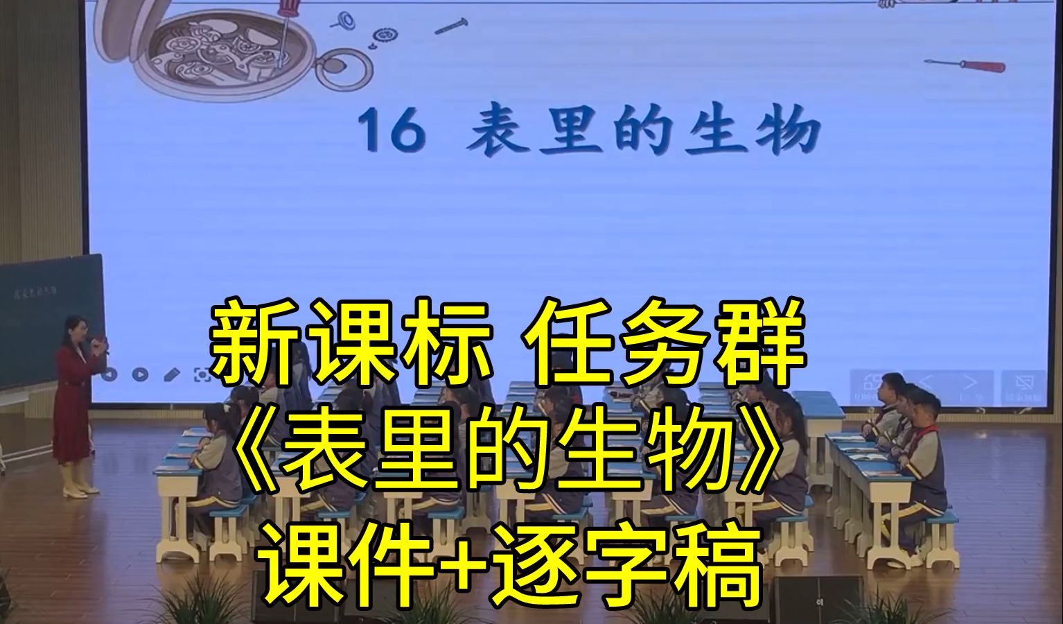 《表里的生物》六年级语文下册 新课标 优质课 比赛一等奖公开课(有...