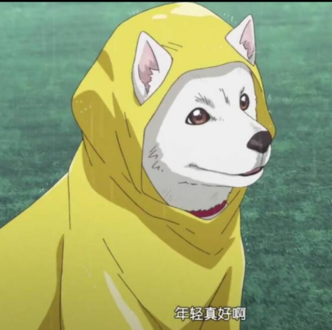 zlic想过平静的生活 