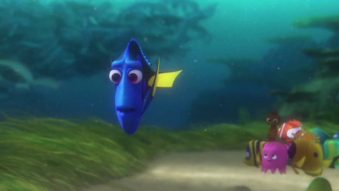 多莉怎么天天都和小学生在一块玩?机缘巧合找到了记忆的钥匙?