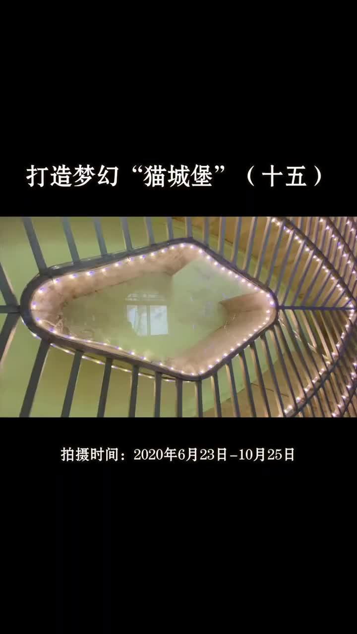 全球首发最大的蝴蝶迷宫猫爬架梦幻猫城堡