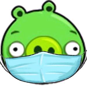 舌尖上的派哥 