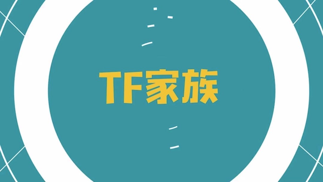 【TF家族】走近18楼