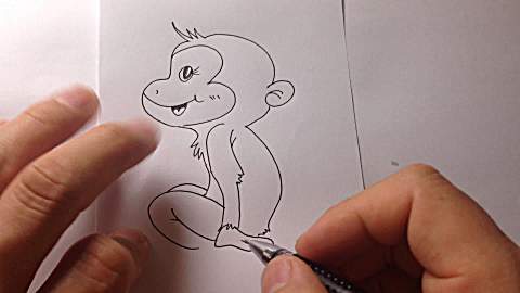 简笔画.十二生肖猴子