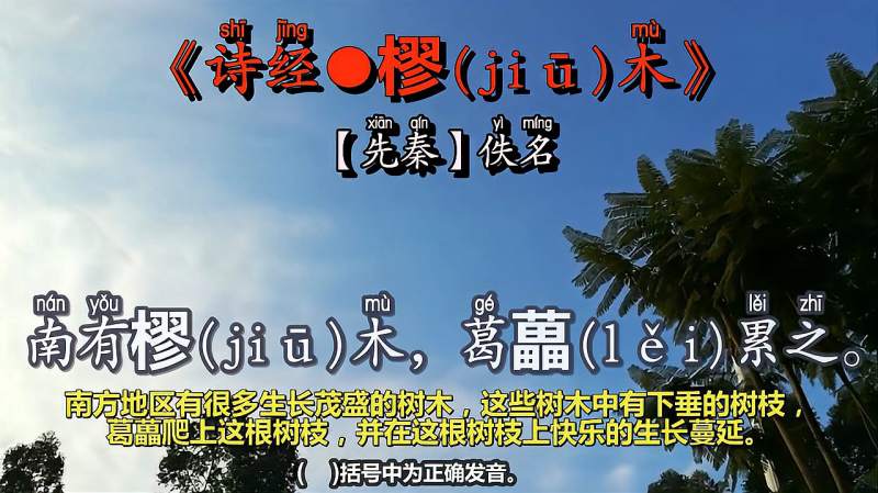《诗经●樛木》国学经典,每天跟读