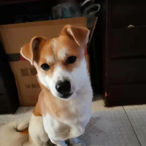 慢人一步的辰辰 