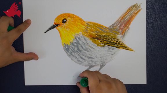 用油画棒画一只小小鸟,高鳍红剑作品