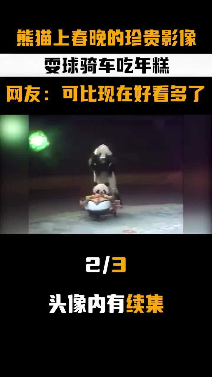 熊猫上春晚的珍贵影像,耍球骑车吃年糕(中)