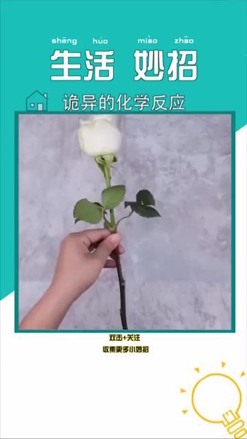 生活中诡异的化学反应,你感兴趣吗