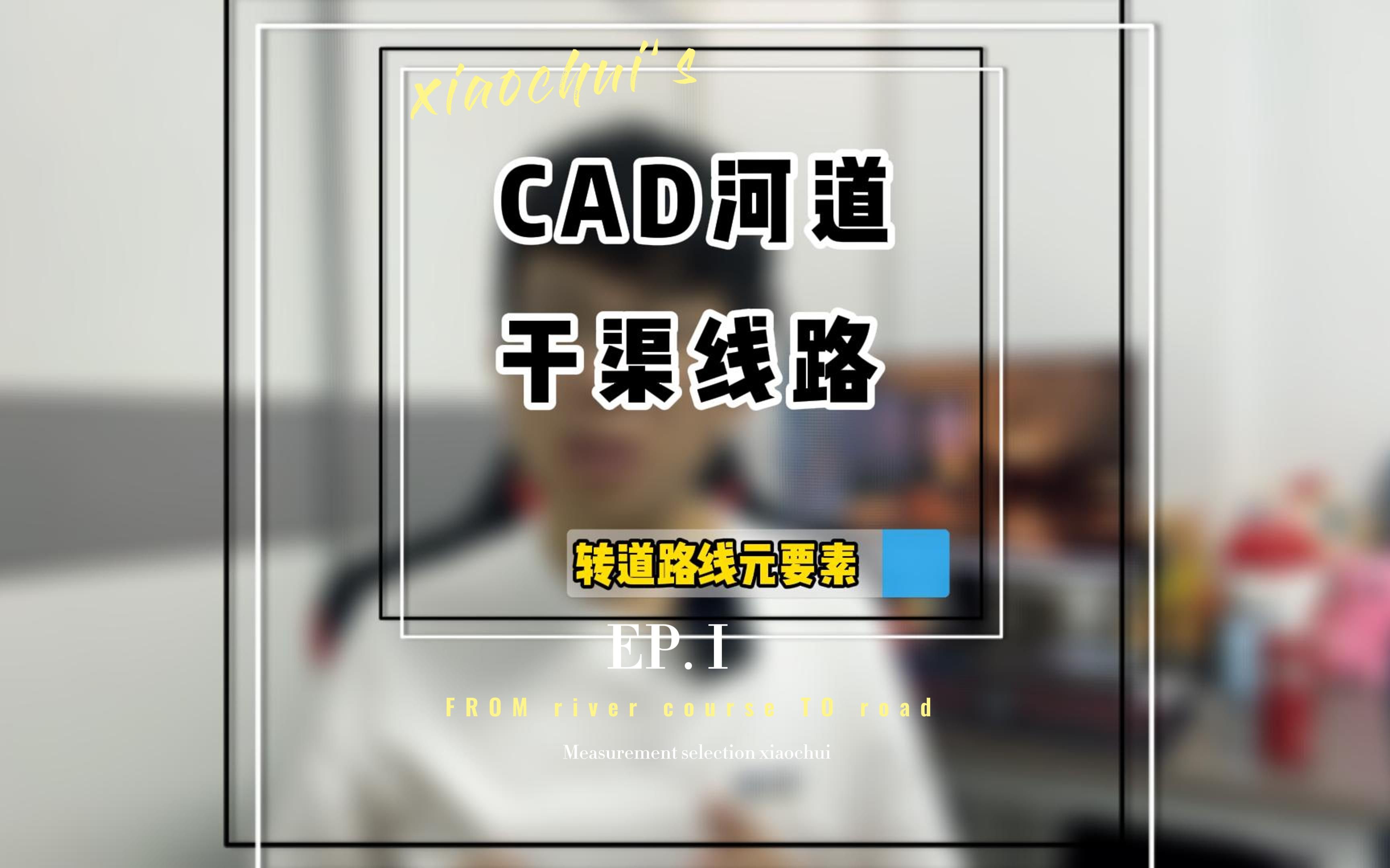 CAD线段转交点线元要素,河道干渠线段转交点法线元法进行中桩偏距...