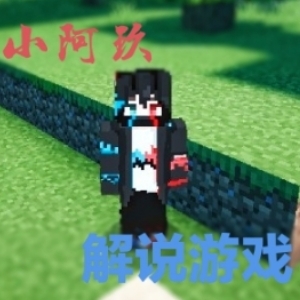 小阿玖解说游戏 