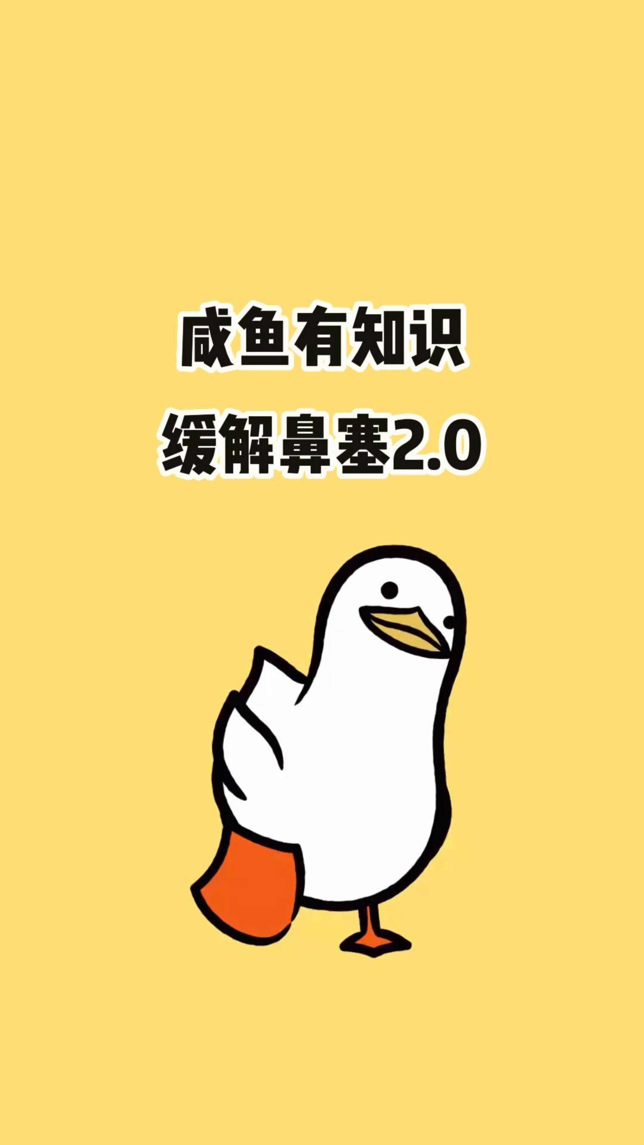 缓解鼻塞2.0