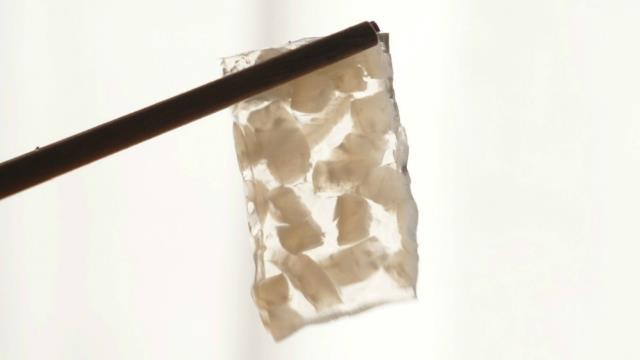 今天才知道,猪皮冻的做法原来这么简单,晶莹剔透,口感Q弹爽滑