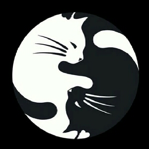 zhancgh 