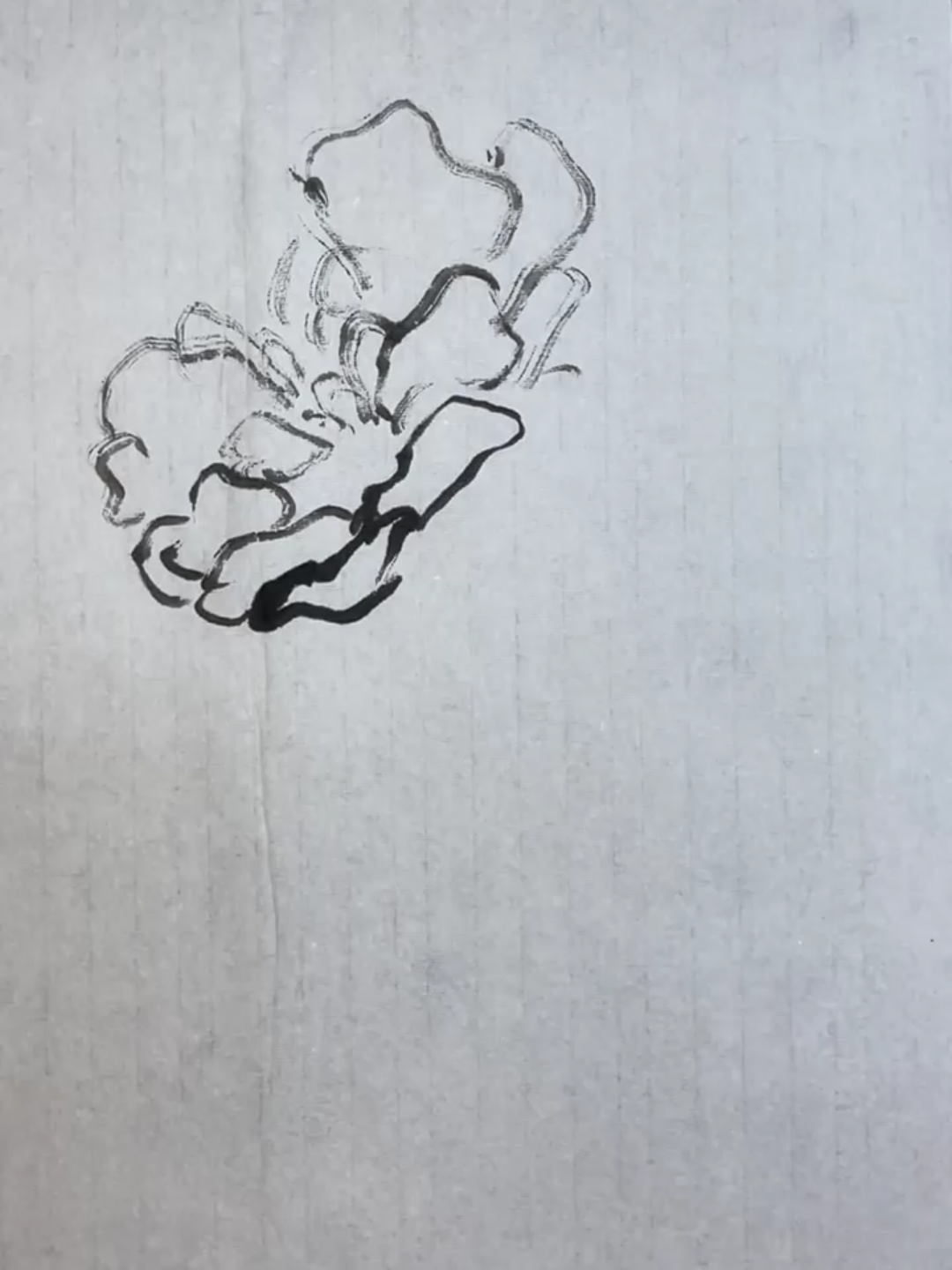国风奇妙纪-百花录:牡丹花头画法之五国画教程 水墨画 国画教学 绘画...