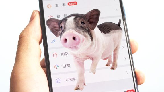 手机屏幕设置一只“猪”,有人动你微信,猪就跑出来大声“叫”