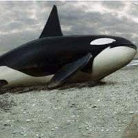 五月二十天气晴 