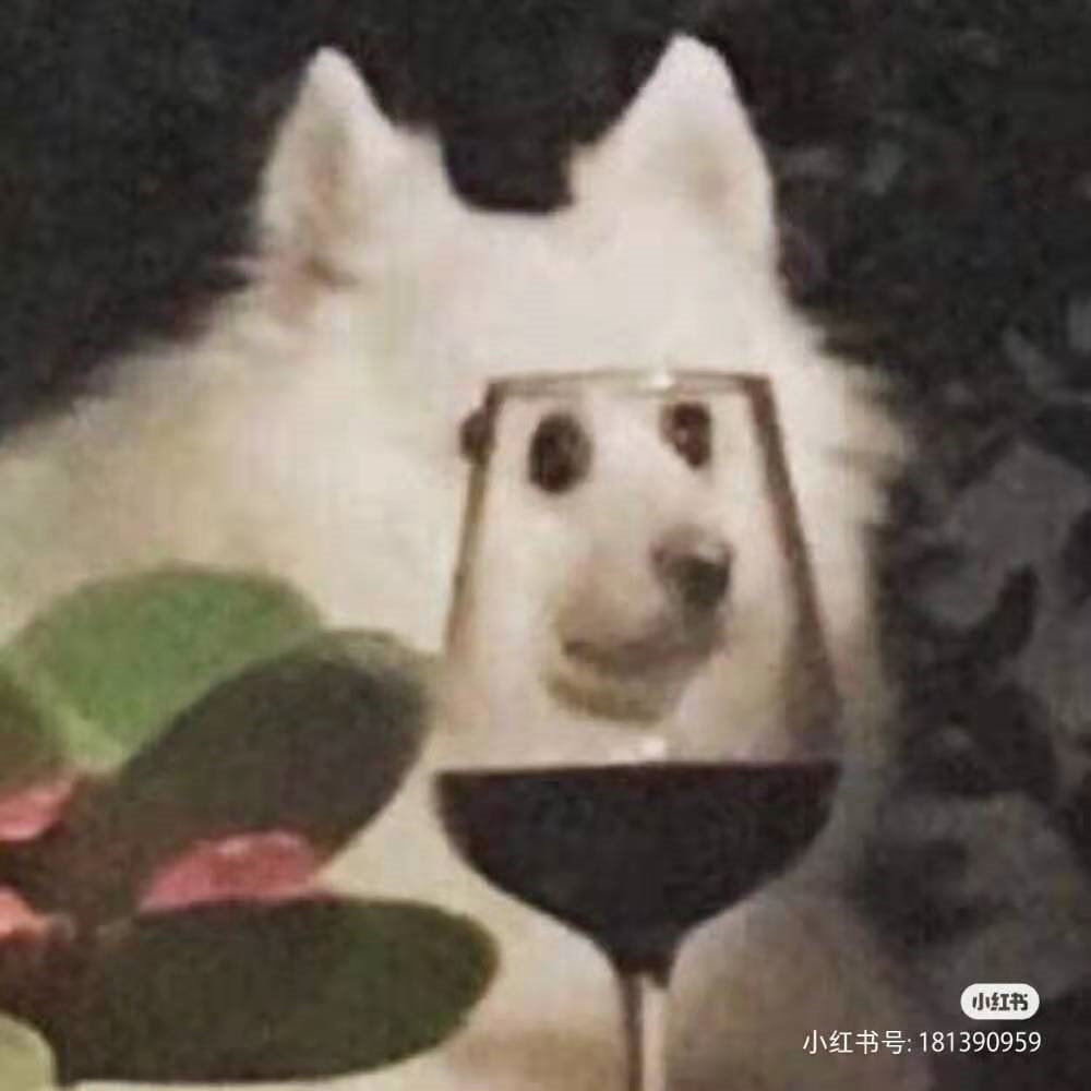 温柔可人的程咬金 