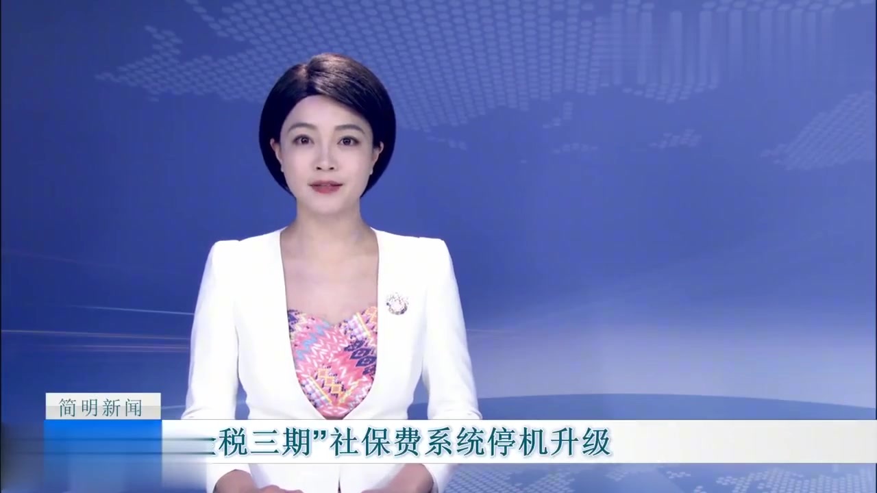 "金税三期"社保费系统停机升级