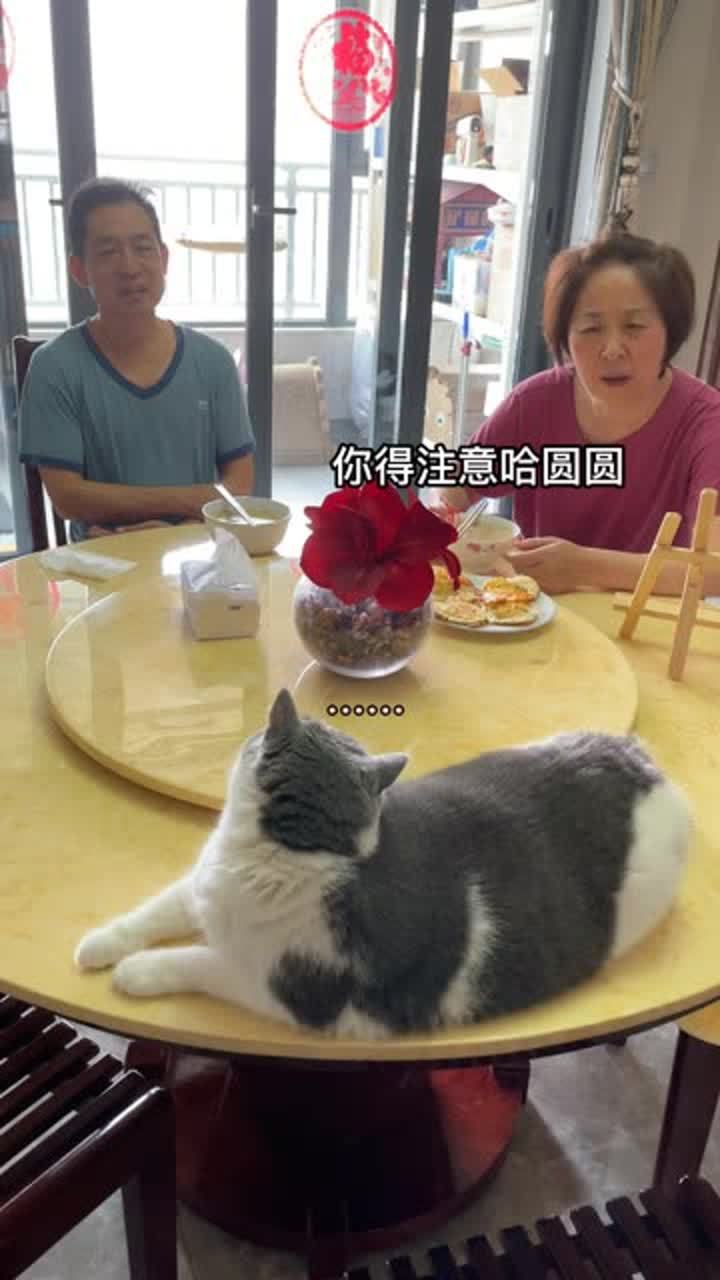 家庭会议谈崩了爱分享请多关注点赞!